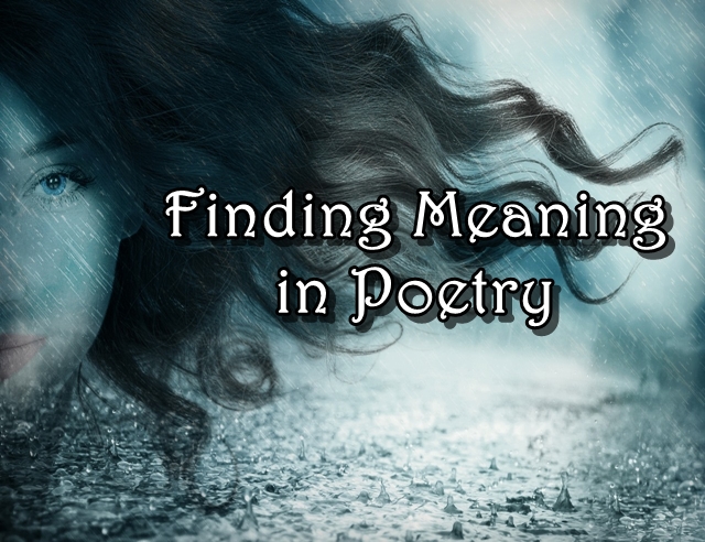 Finding Meaning in Poetry | First Edition Design Publishing – a hybrid ...