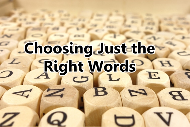 Choosing Just the Right Words — Guest: Kathy Steinemann | First Edition ...